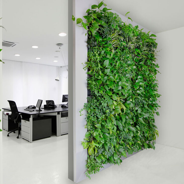 What are Green Wall Systems and Their Benefits - Growing Magazine