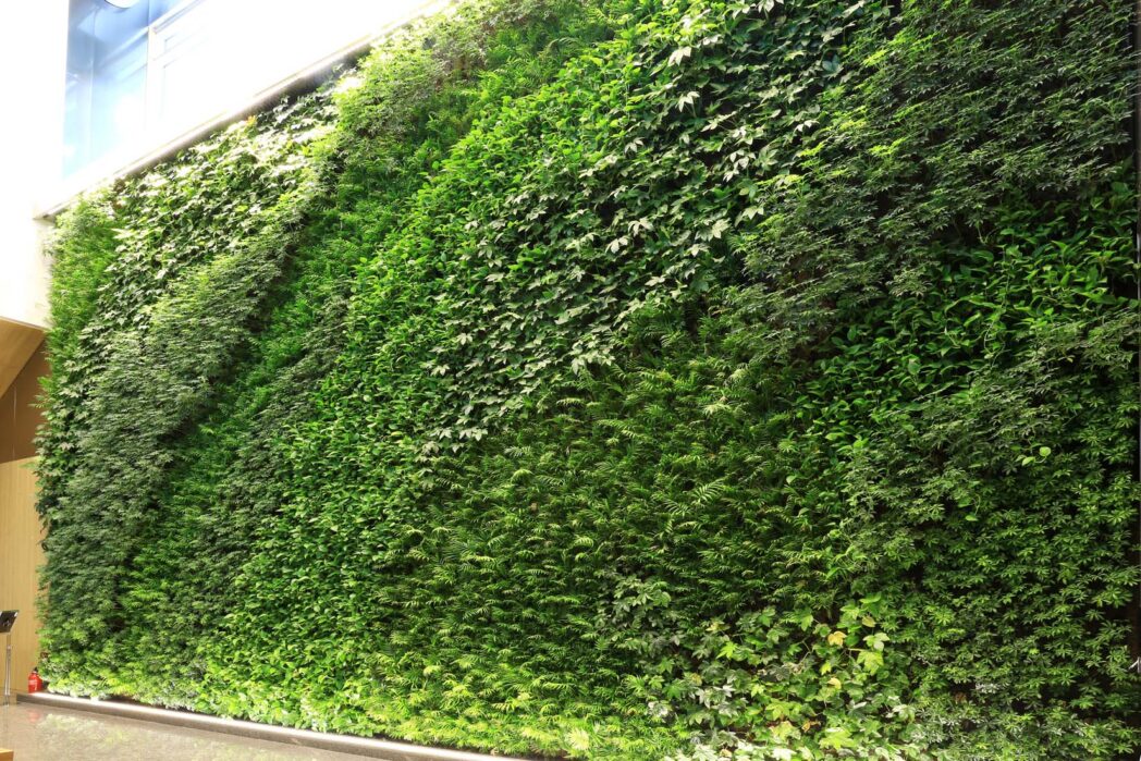 What are Green Wall Systems and Their Benefits - Growing Magazine