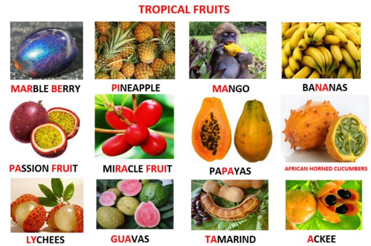 4 best places to buy property if you want to Grow Tropical Fruit ...