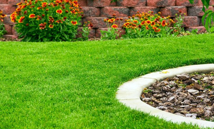 Top Post Lockdown Landscaping and Gardening Tips - Growing Magazine