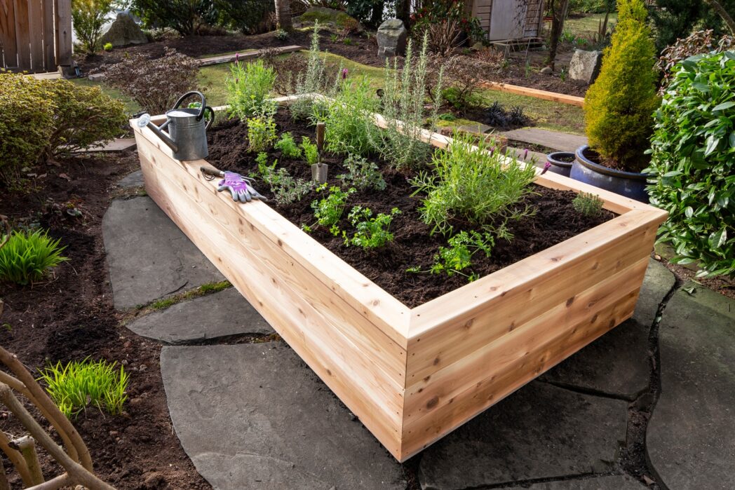 How to Make Raised Garden Bed in 5 Steps - Growing Magazine