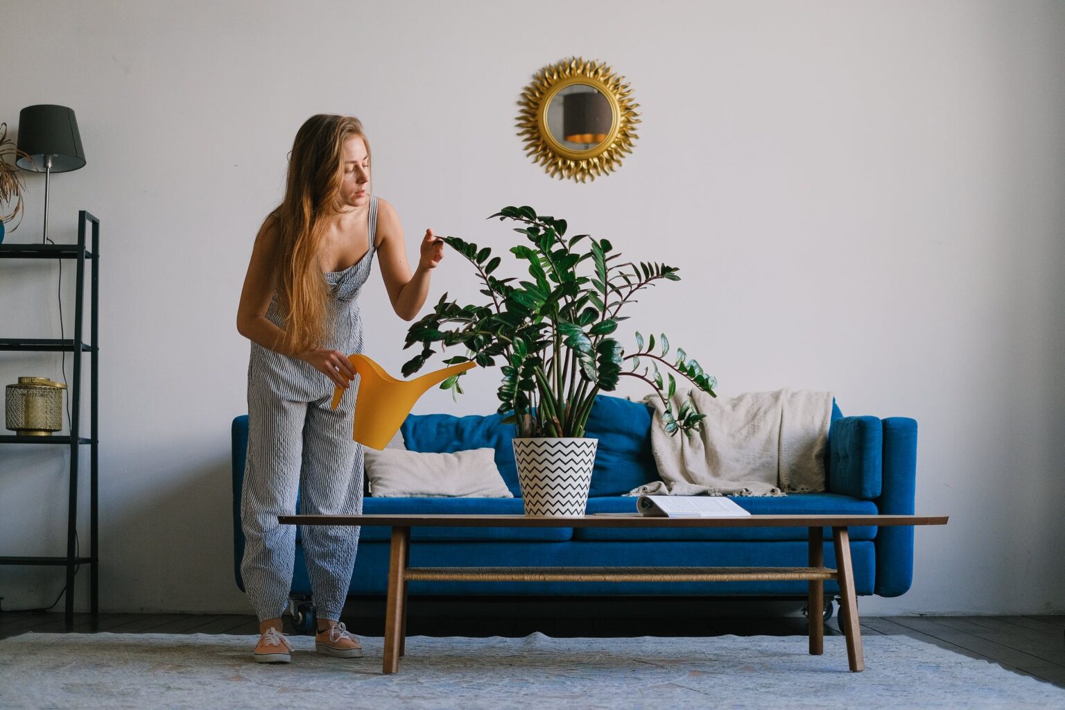 8 Tips On How To Grow Your Indoor Plants - Growing Magazine