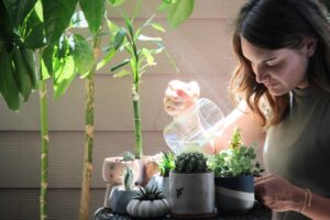 9 Tips for Dealing With Pests on Your Indoor Houseplants - Growing Magazine