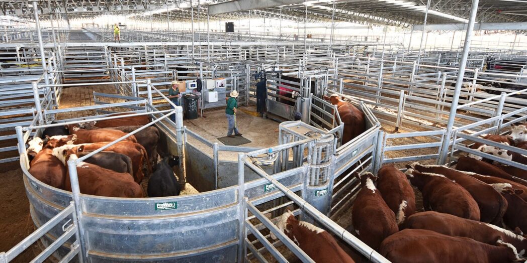 5 Tips for Buying Farm and Livestock Equipment - Growing Magazine