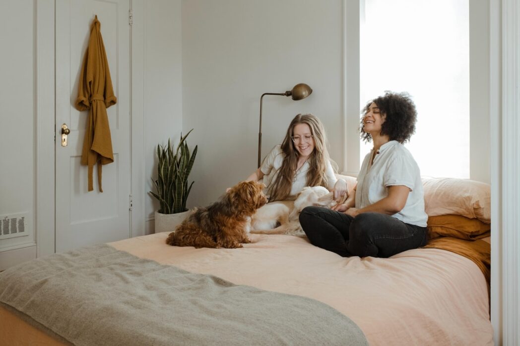 4 Reasons Why Dogs Are The Best Apartment Pets - Growing Magazine