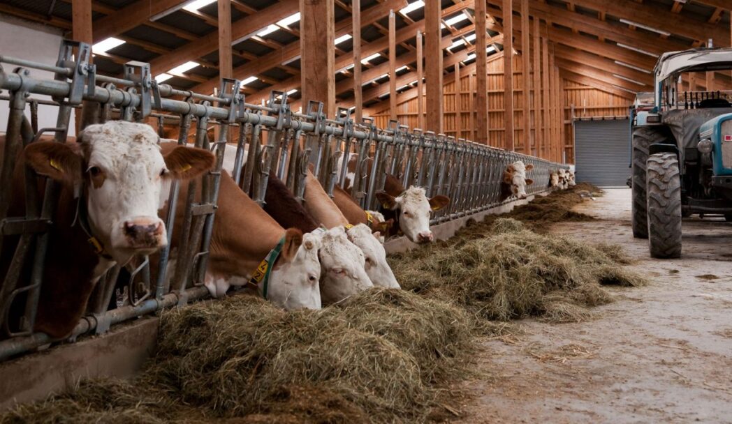 5 Tips for Buying Farm and Livestock Equipment - Growing Magazine