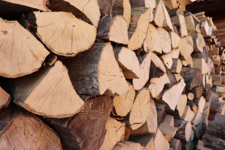 Best Firewood to Burn Chart - Guide 2024 - Growing Magazine