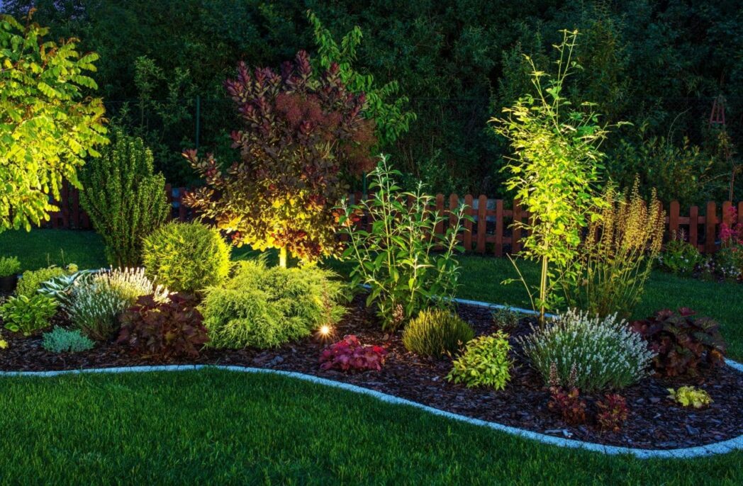 5 Tips And Tricks For Improving Your Landscape Lighting - Growing Magazine
