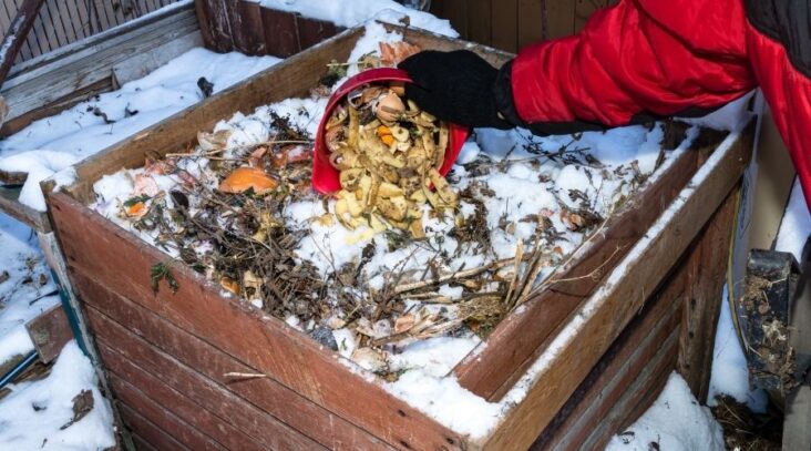 How Long Does It Take For Kitchen Waste To Compost? - Growing Magazine