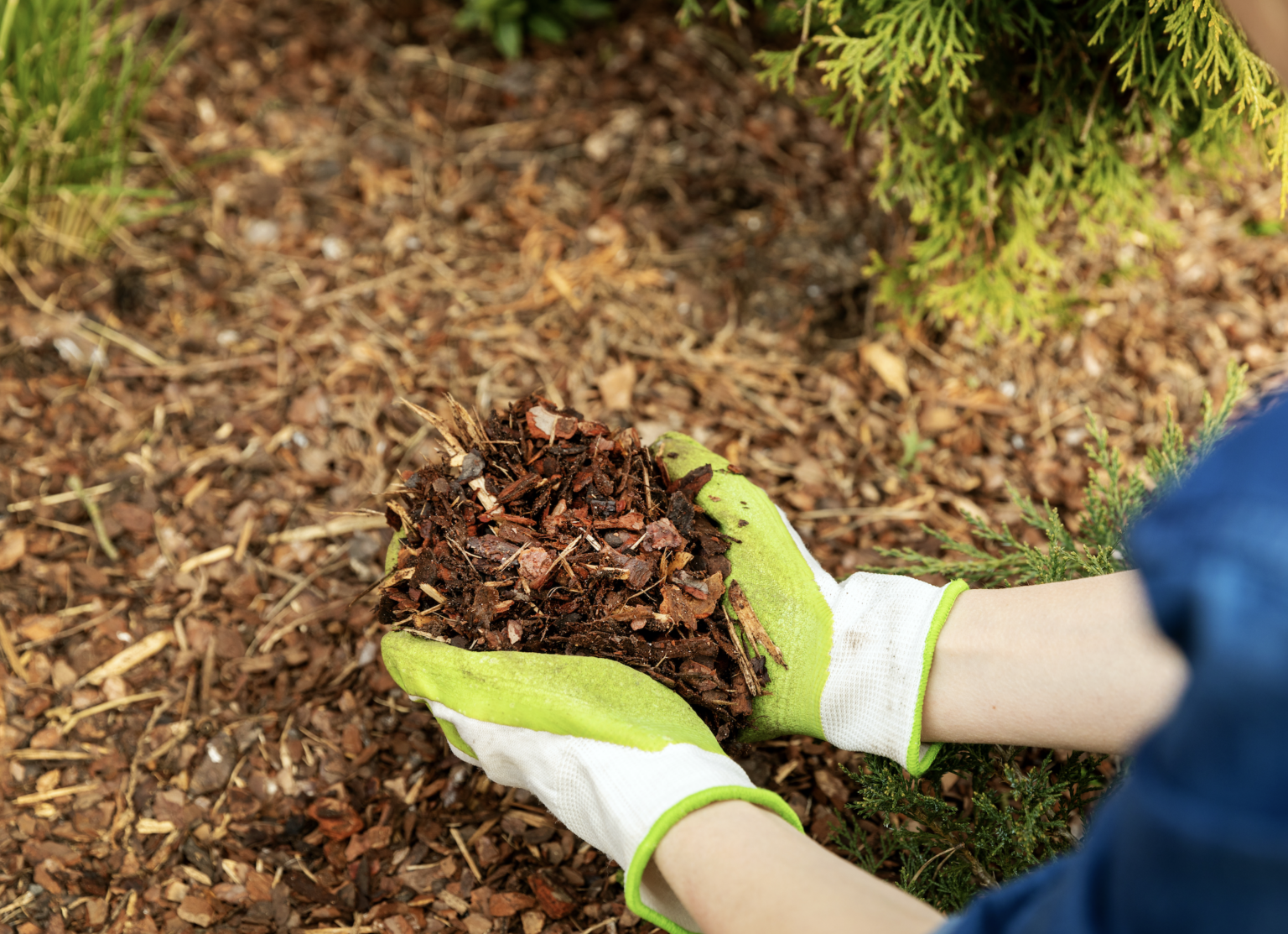 Soil & Mulches – Types of Mulches – Soil Pep