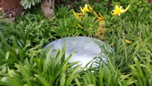 Everything You Need To Know About Bore Covers - Growing Magazine