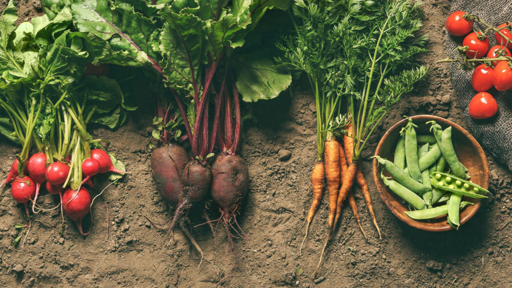 5 Simple Ways to Tell if Your Food is Organic - Growing Magazine