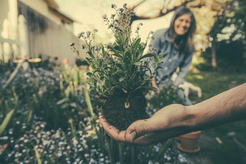 Gardening Vocabulary: 10 Useful English Words You Need to Know ...