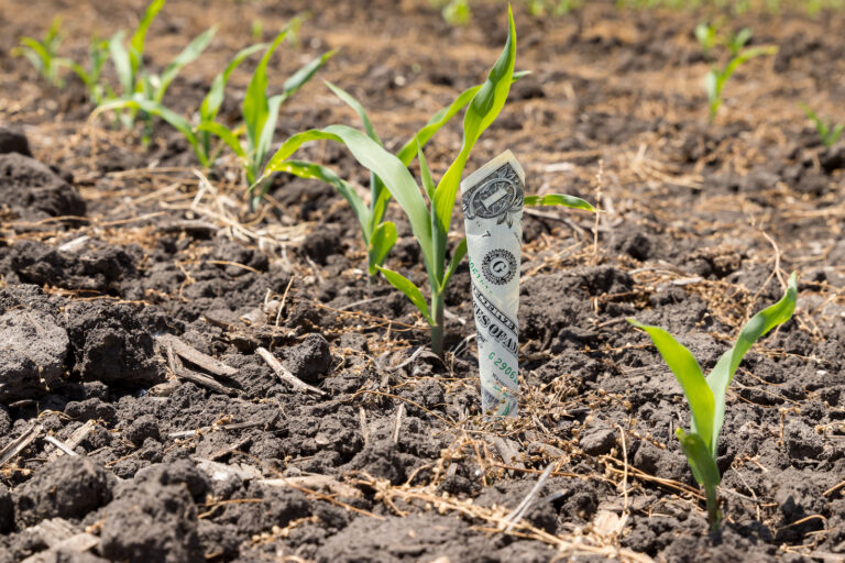 4 Ways to Finance a Farm Through Programs and Loans - Growing Magazine
