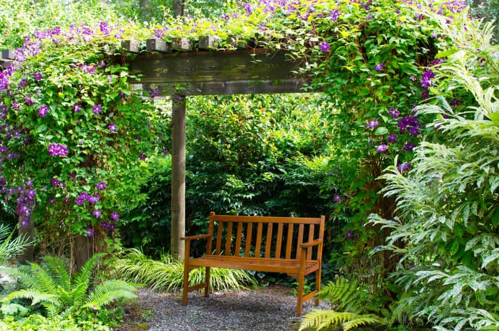 How to Choose The Perfect Garden Bench Ideas For Your Outdoor Space ...