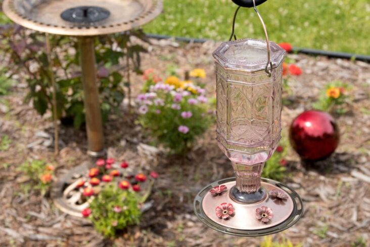9 Tips on How To Make a Hummingbird Garden - Growing Magazine