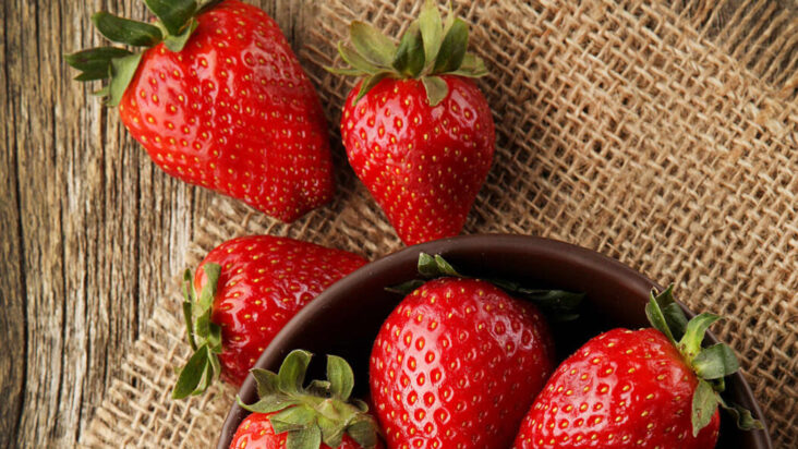 10 Fun And Interesting Facts About Gardening - Growing Magazine