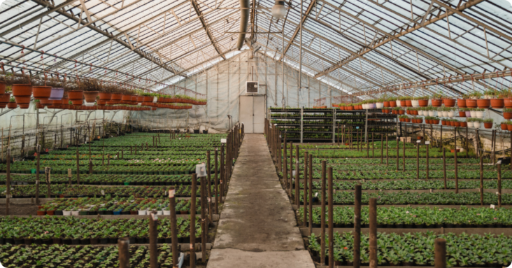 How To Design A Greenhouse For Optimal Plant Growth - Growing Magazine