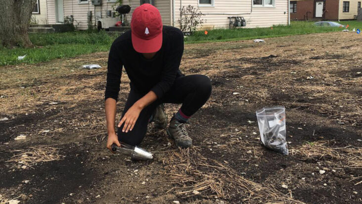 Soil Contamination: 3 Remediation Techniques To Restore Soil Quality - Growing Magazine