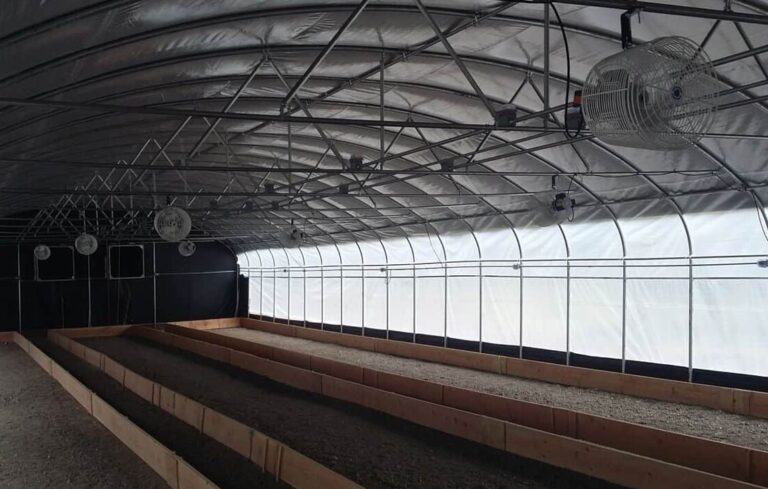 5 Things to Look For in a Commercial Light Deprivation Greenhouse ...