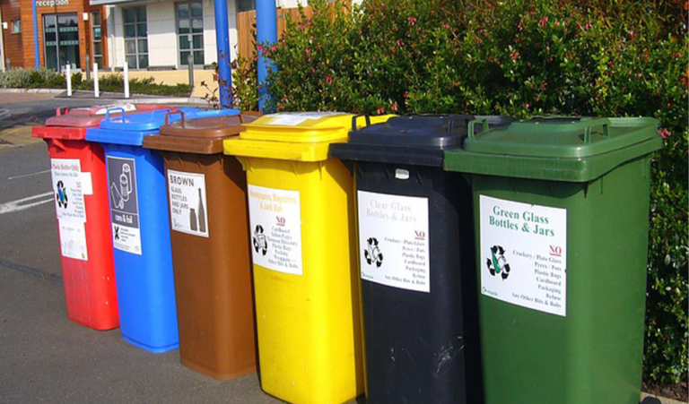 8 Environmental Benefits of Proper Waste Disposal - Growing Magazine