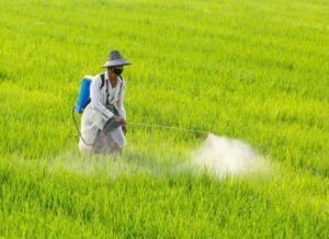 How to Properly Dispose of Pesticides and Other Toxic Farm Waste - 2024 ...