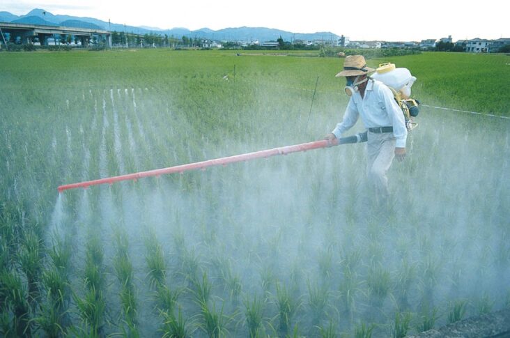 How to Properly Dispose of Pesticides and Other Toxic Farm Waste - 2024 ...