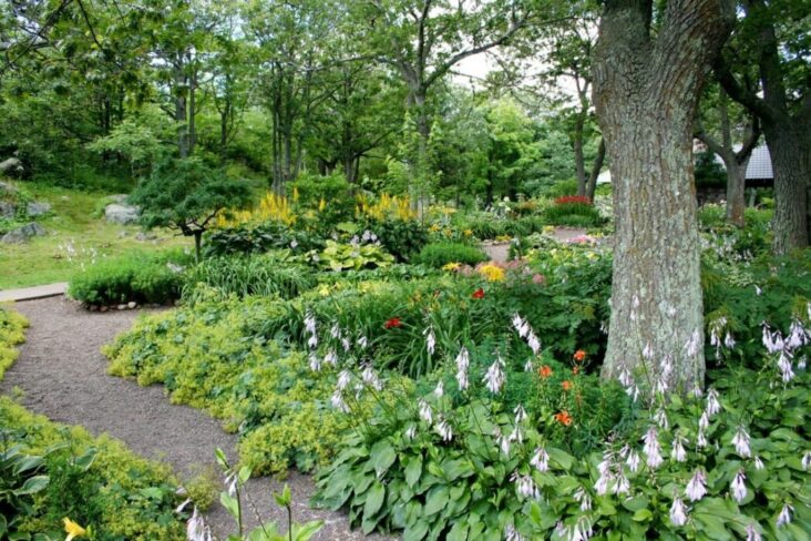 Easy Ways to Create a Suitable Natural Garden That Accommodates ...