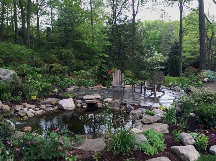 Easy Ways to Create a Suitable Natural Garden That Accommodates ...