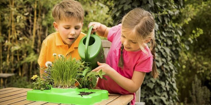 Growing Minds: How Gardening Can Help Teach STEM Concepts - Growing ...