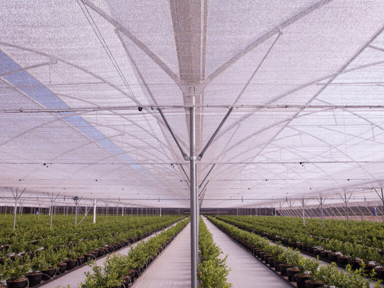 From Seed to Harvest: How Shade Nets Can Improve Crop Growth - 2024 ...