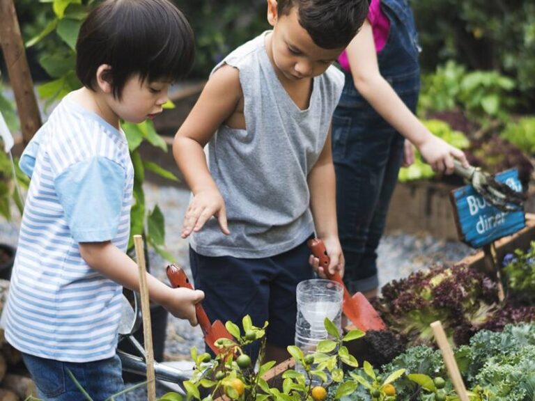Growing Minds: How Gardening Can Help Teach STEM Concepts - Growing ...