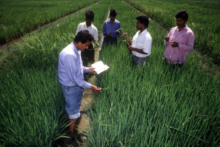 4 Ways to Boost Your Profits as a Farmer - Growing Magazine