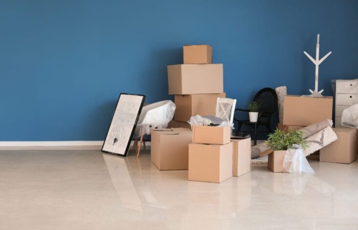 7 Important Tips For Moving On A Budget (2024) - Growing Magazine