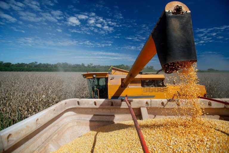 The Pros and Cons of Organic Pesticides in Boosting Corn Yields