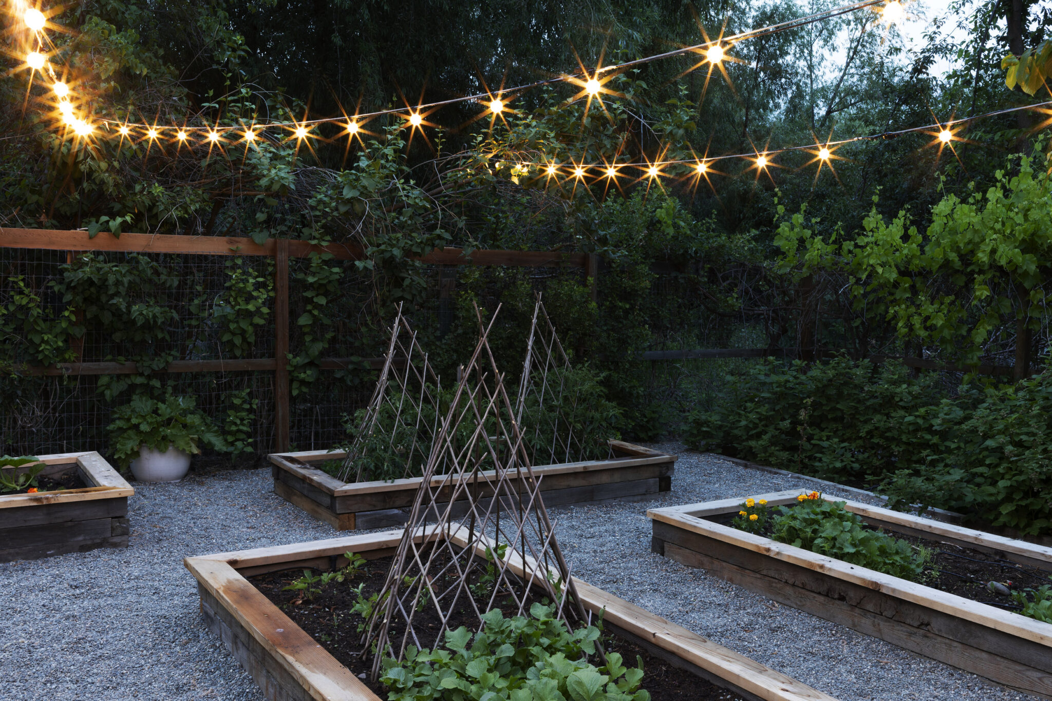 Garden Guardians: Safely Protecting Your Garden from Wild Animals ...