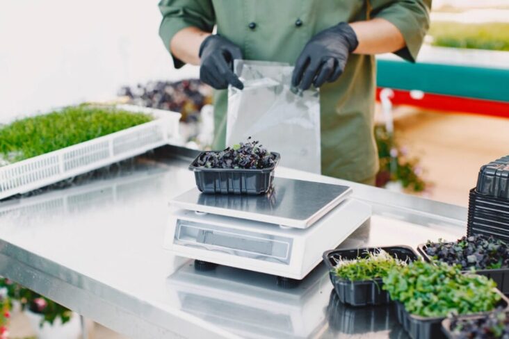 Maximizing Crop Yields with Hydroponic Nutrients - Growing Magazine