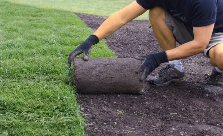 DIY Sod Installation Can Save Money While Providing a Lush Lawn ...