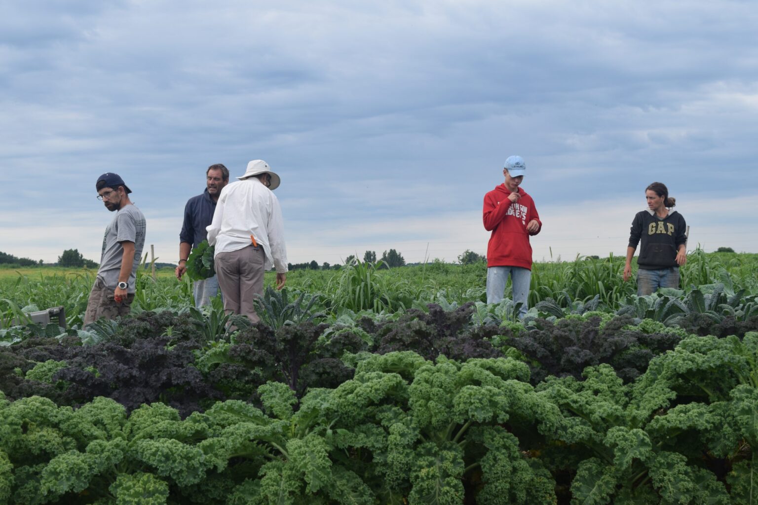 9 Mistakes to Avoid When Setting Up a Homestead - Growing Magazine