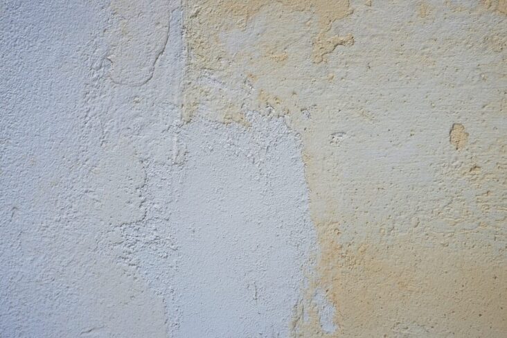 Is It Time to Repaint Your Home’s Exterior? Signs That You Should Not ...