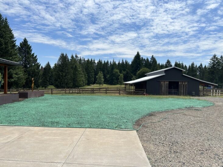 Hydroseeding Explained ─ Transforming Your Landscape with Seed and ...