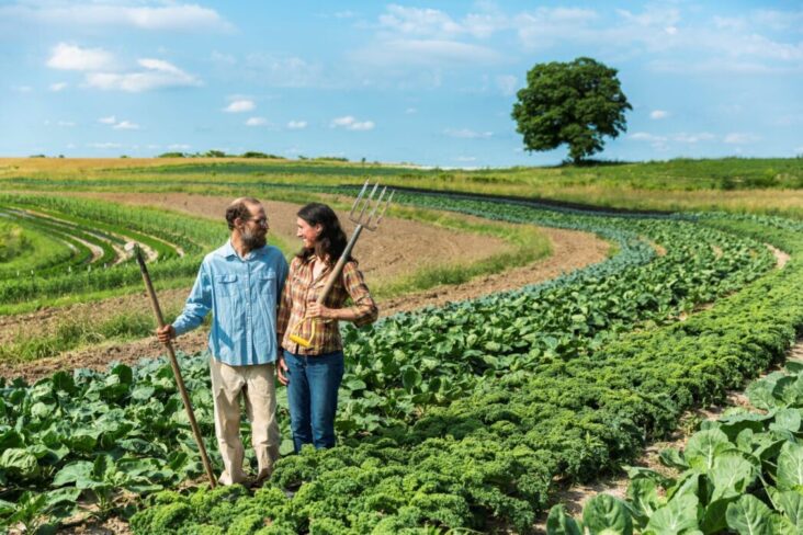 The Many Health Benefits Of Organically Farmed Foods - Growing Magazine