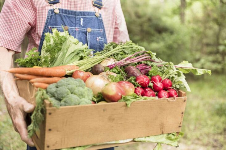 The Many Health Benefits Of Organically Farmed Foods - Growing Magazine