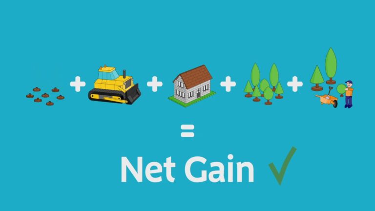 How To Calculate Biodiversity Net Gain - Growing Magazine