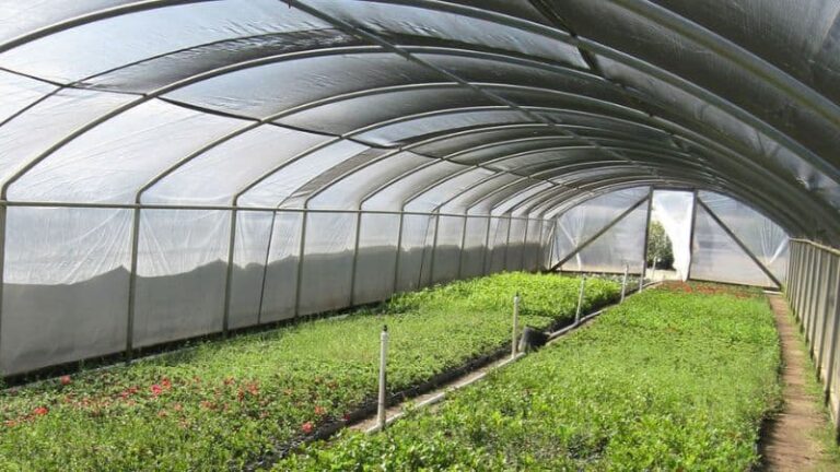 Growing Magazine - For Fruit and Vegetable Growers